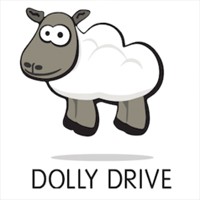 DollyDrive 2025 Overview: Pricing, Ratings & Details | TechnologyAdvice